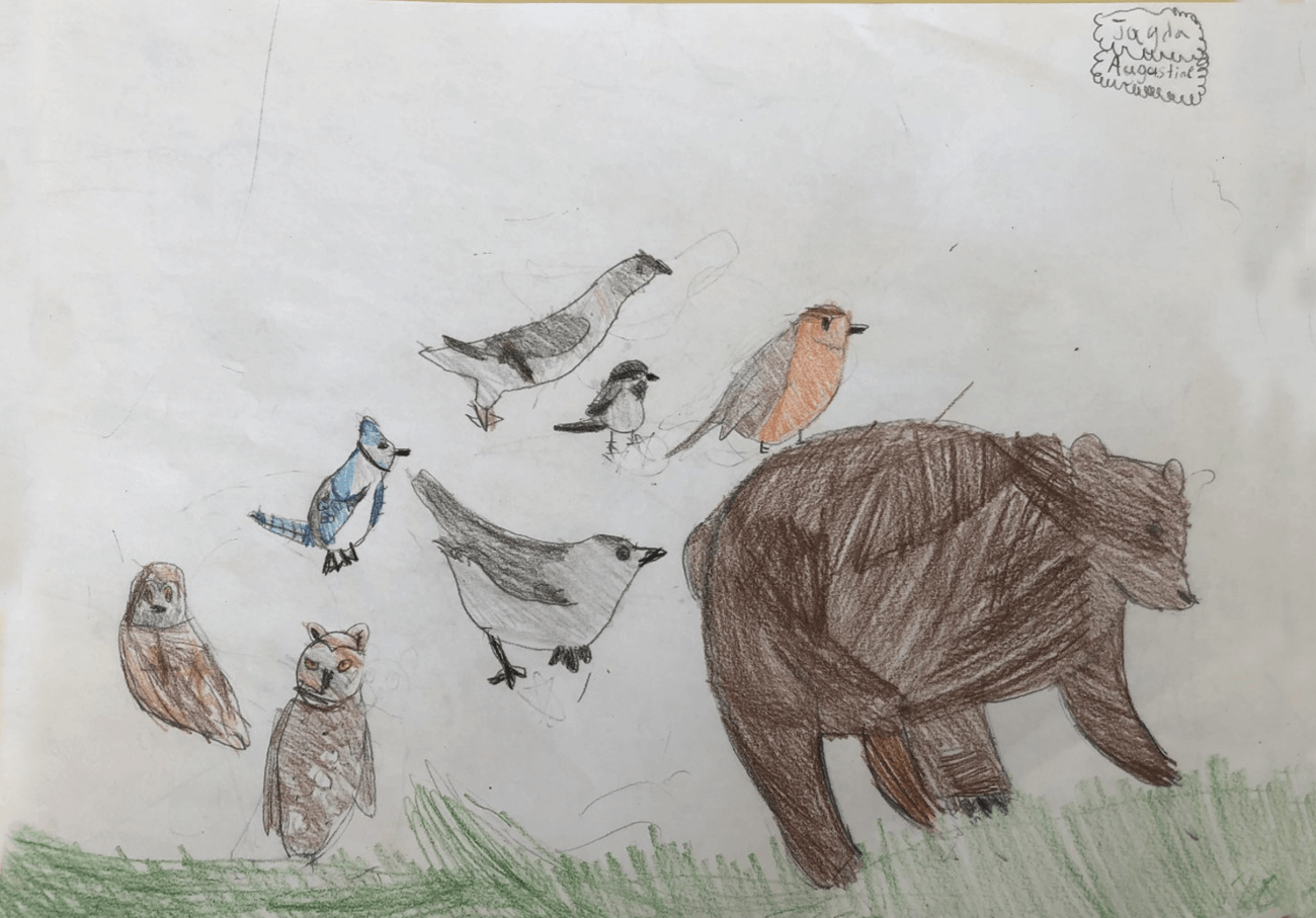 Activity 2 – Worldview in Muin/Bear/Muwin and The Seven Hunters